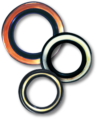 dmr-oil-seals-inch - Daemar Inc