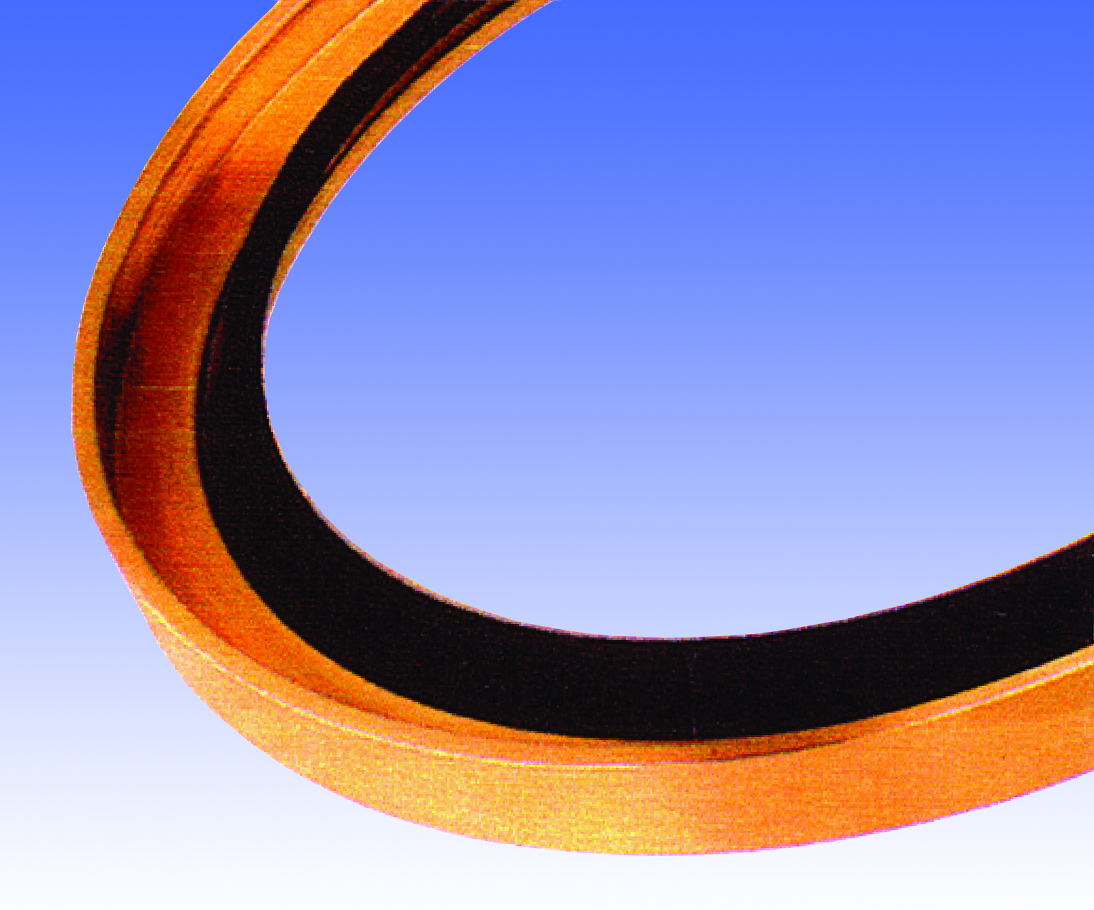 Protector Seal - Daemar Inc