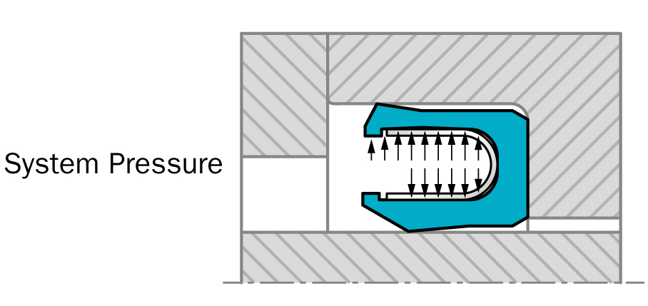 Turcon® Variseal® - Daemar Inc